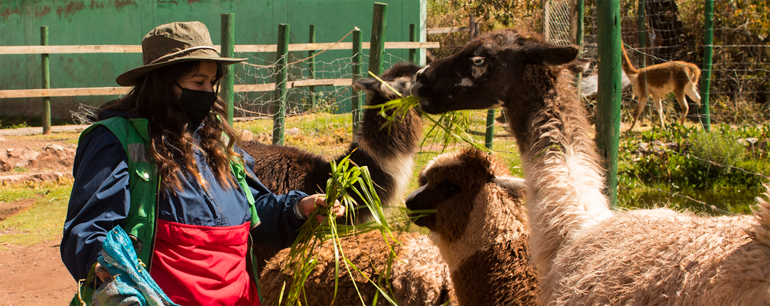 Animal Science Internships For Students & Graduates