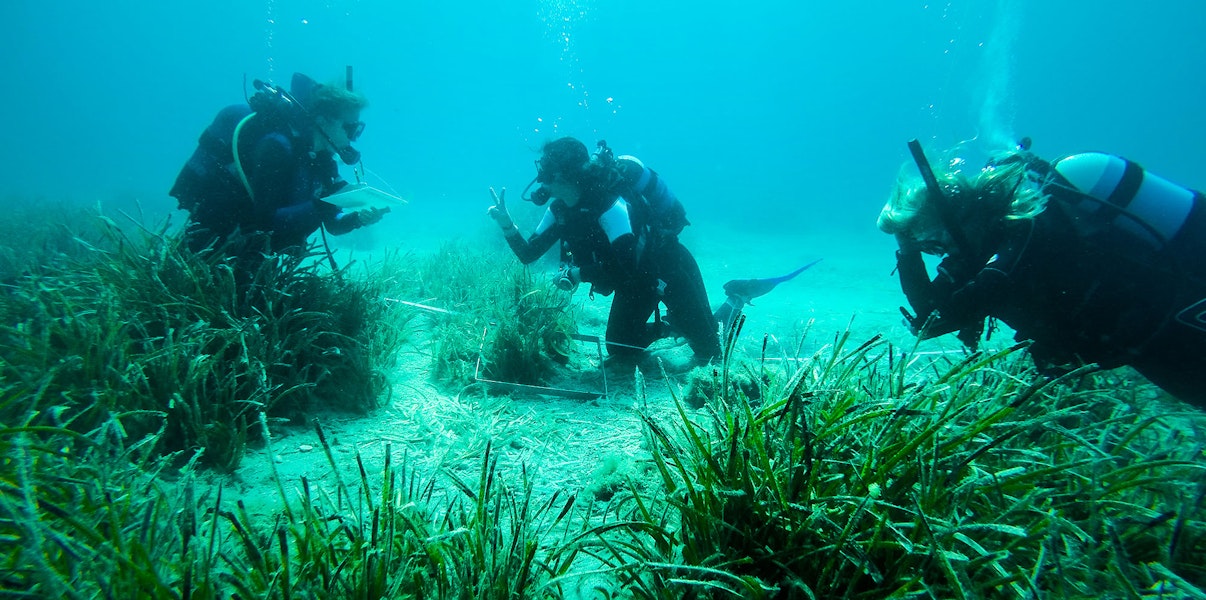 Environmental Science Internships | Intern Abroad HQ