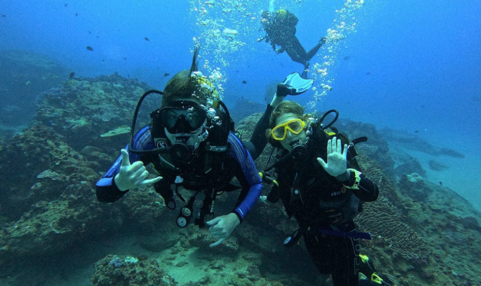 Marine Biology Internships Intern Abroad HQ marine-biology-internships-intern-abroad-hq